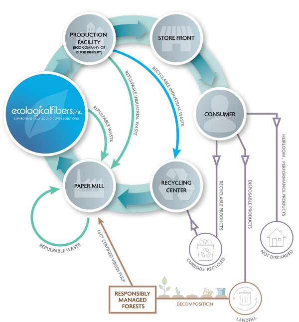 Ecological Fibers Product Life Cycle