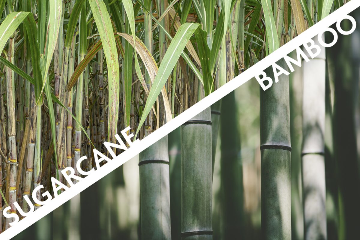 Rainbow® Renew - ECOLOGICAL FIBERS