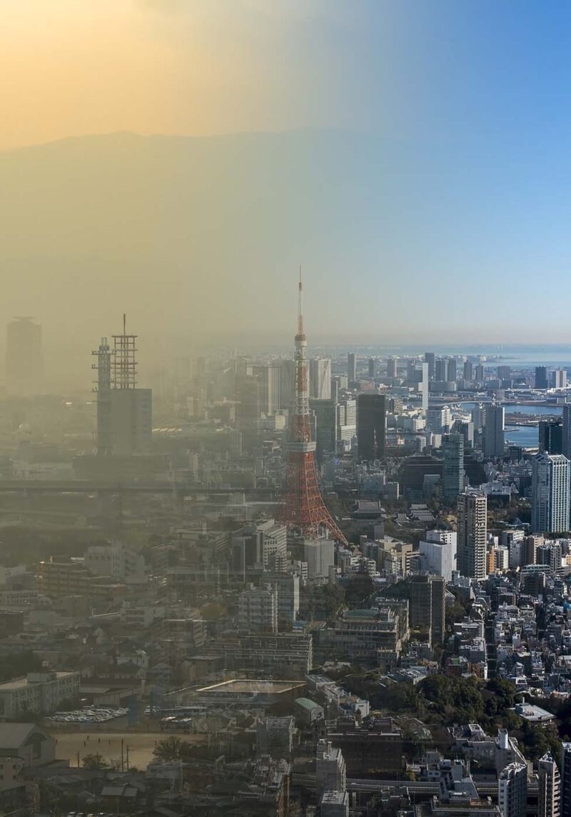 Solvents - ECOLOGICAL FIBERS