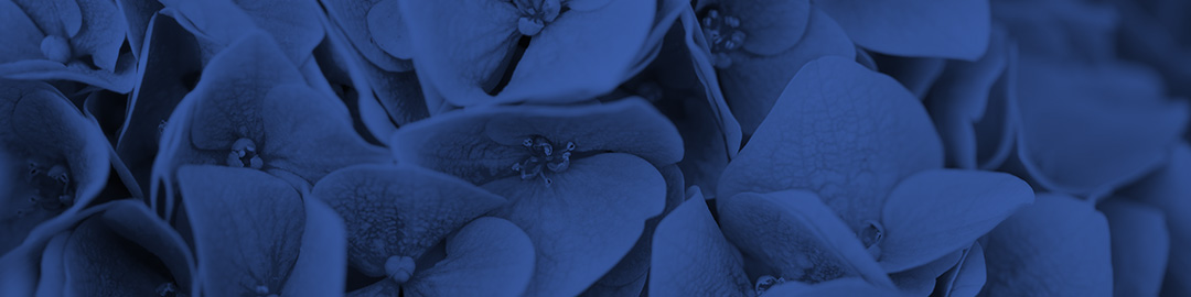 Ecological Fibers: Environmentally Responsible Cover Materials