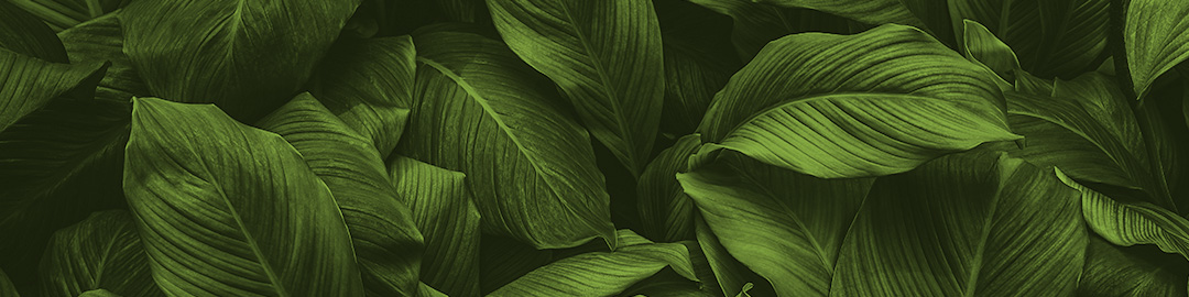 Ecological Fibers: Environmentally Responsible Cover Materials